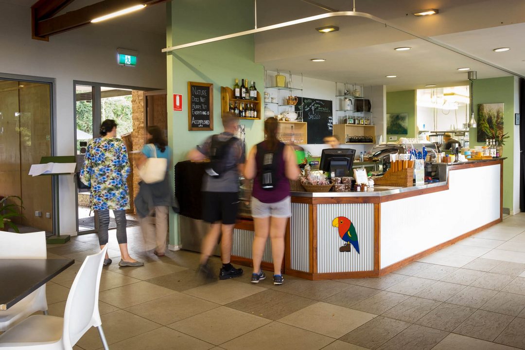 Dining | Binna Burra Lodge