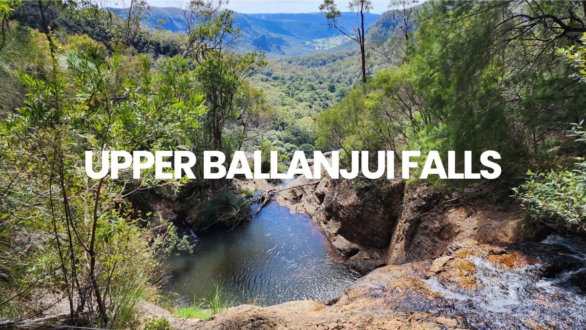 Upper Ballanjui Falls 'Out and Back' Track | Binna Burra Lodge