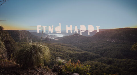 Happitat Adventure Park | Activities at Binna Burra | Binna Burra Lodge